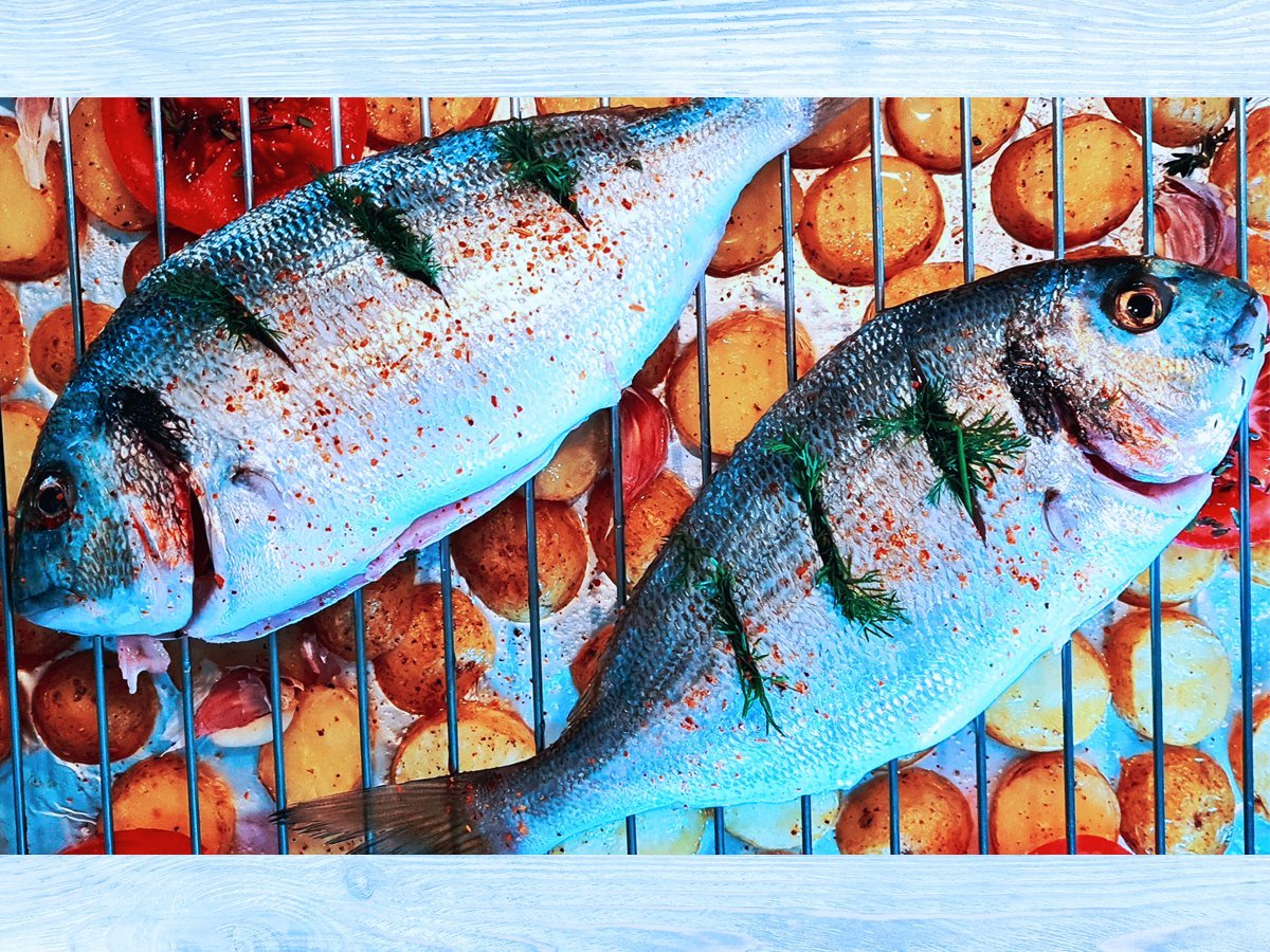 Fish Face Seafood Blog | This is why I buy fresh fish near me