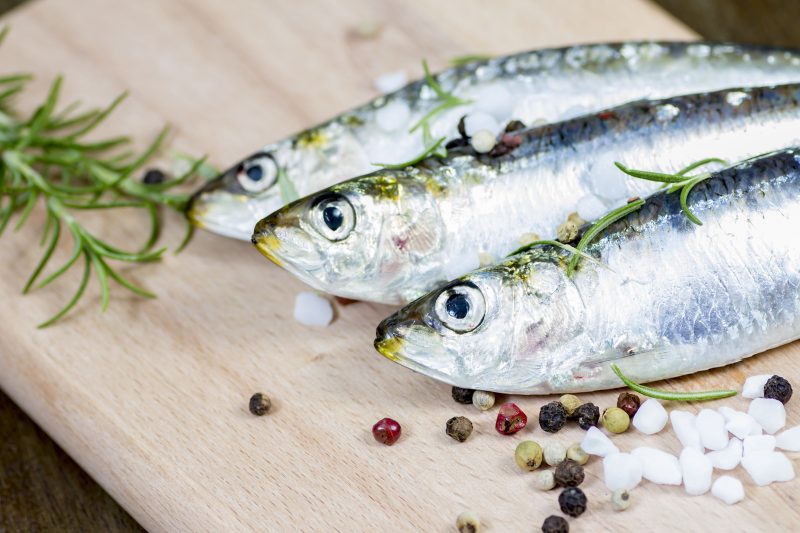 Fish Face Guide | Sardines | Recipes For Sardine