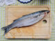 Fish Face Seafood Blog | July in season spotlight: grey mullet