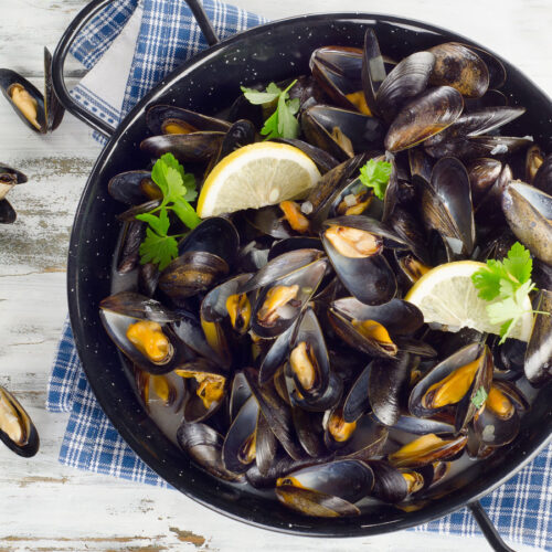 Fish Face Seafood Blog | July in season spotlight: grey mullet