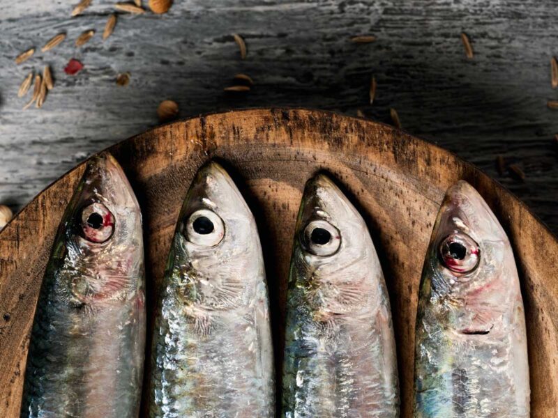 Fish Face Seafood Blog | August in season spotlight: sardines