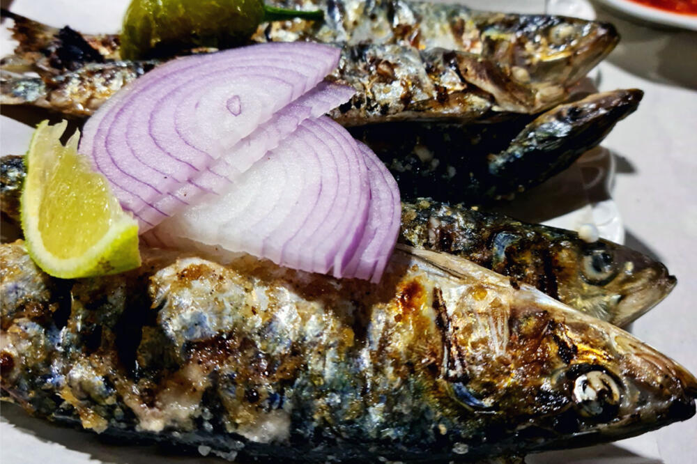 Fish Face Seafood Blog | Features | Exploring Morocco’s seafood culture